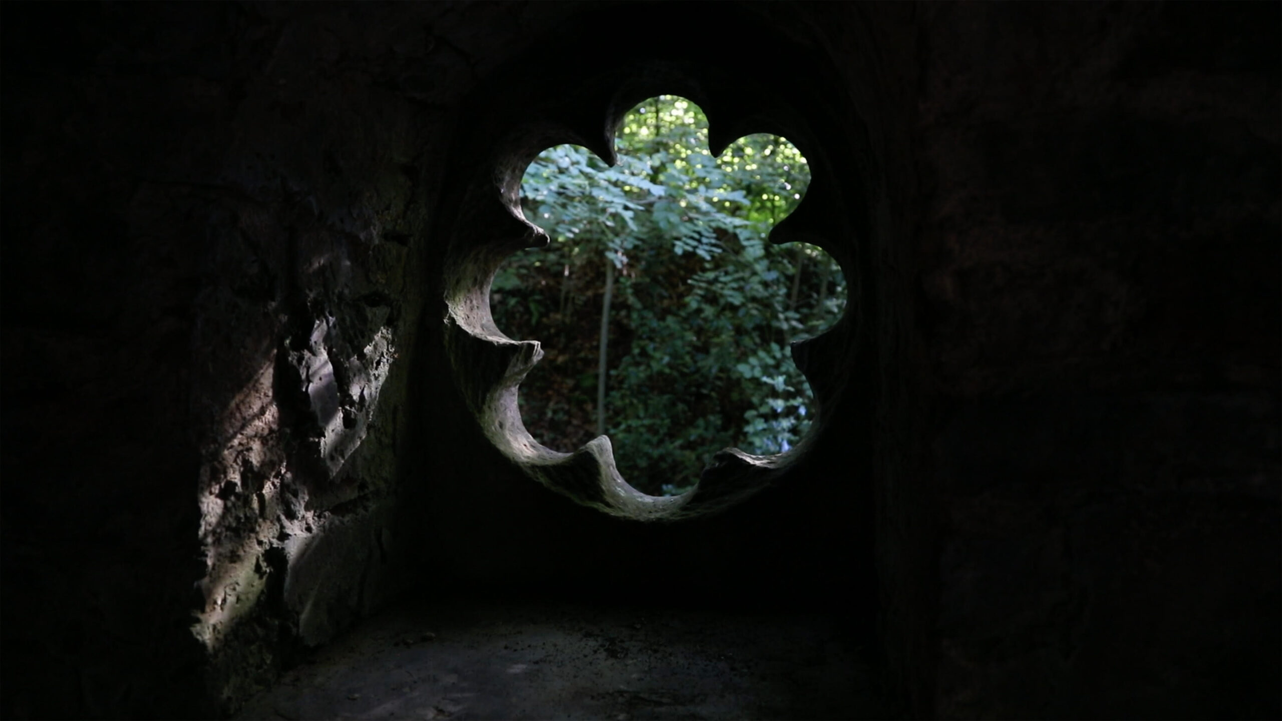 Album release: Be Water, Be Light - Rachel Beckles Willson